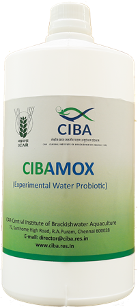 AAHED – Central Institute of Brackishwater Aquaculture