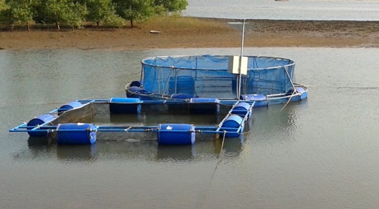 CRUSTACEAN CULTURE DIVISION – Central Institute of Brackishwater ...